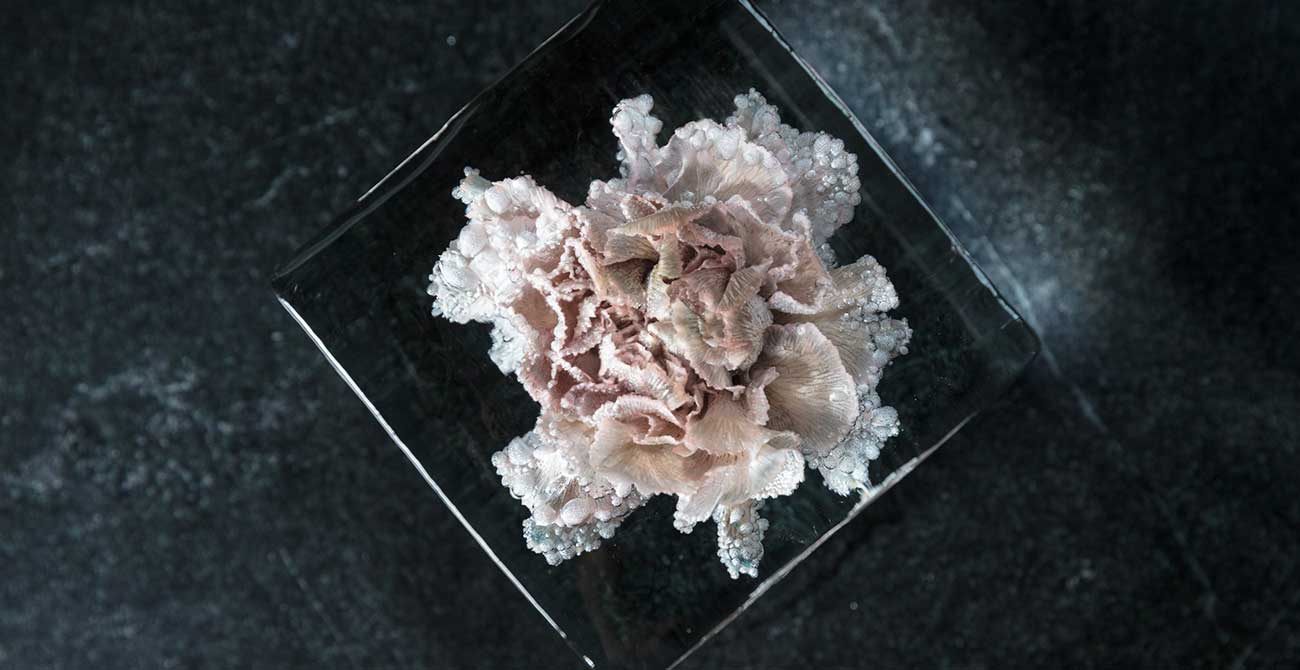 Hundredweight Big Ice